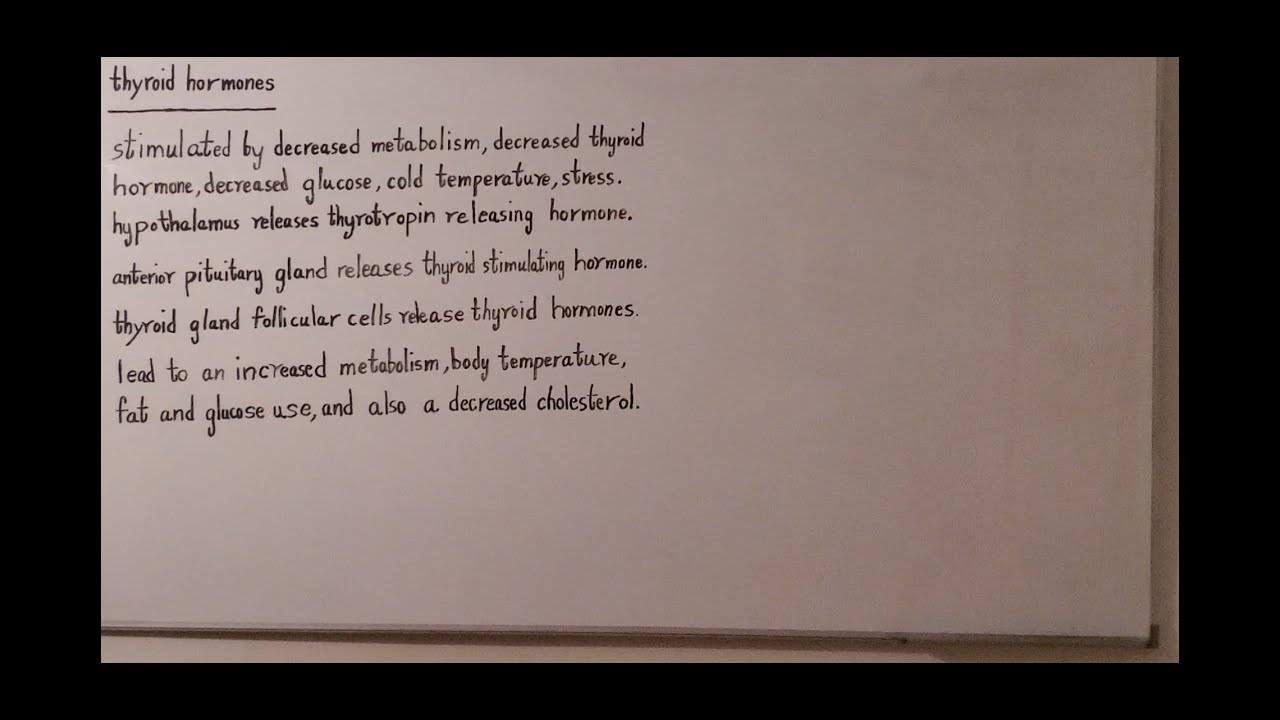 Thyroid Hormones - Crazy Catchy Concepts - YouTube