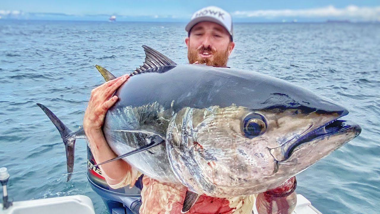 Top-Water Bluefin Tuna, Gibraltar. - YouTube
