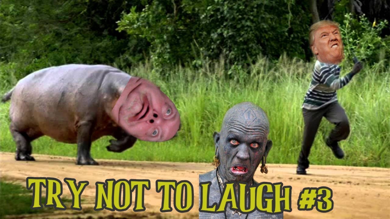 TRY NOT TO LAUGH #3 - Funny Fail Videos Compilation 2020 - YouTube