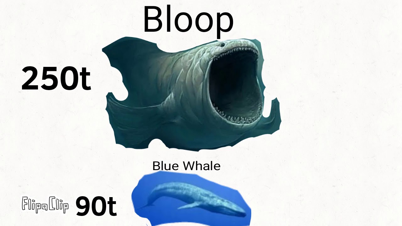 Bloop. What time do? - YouTube