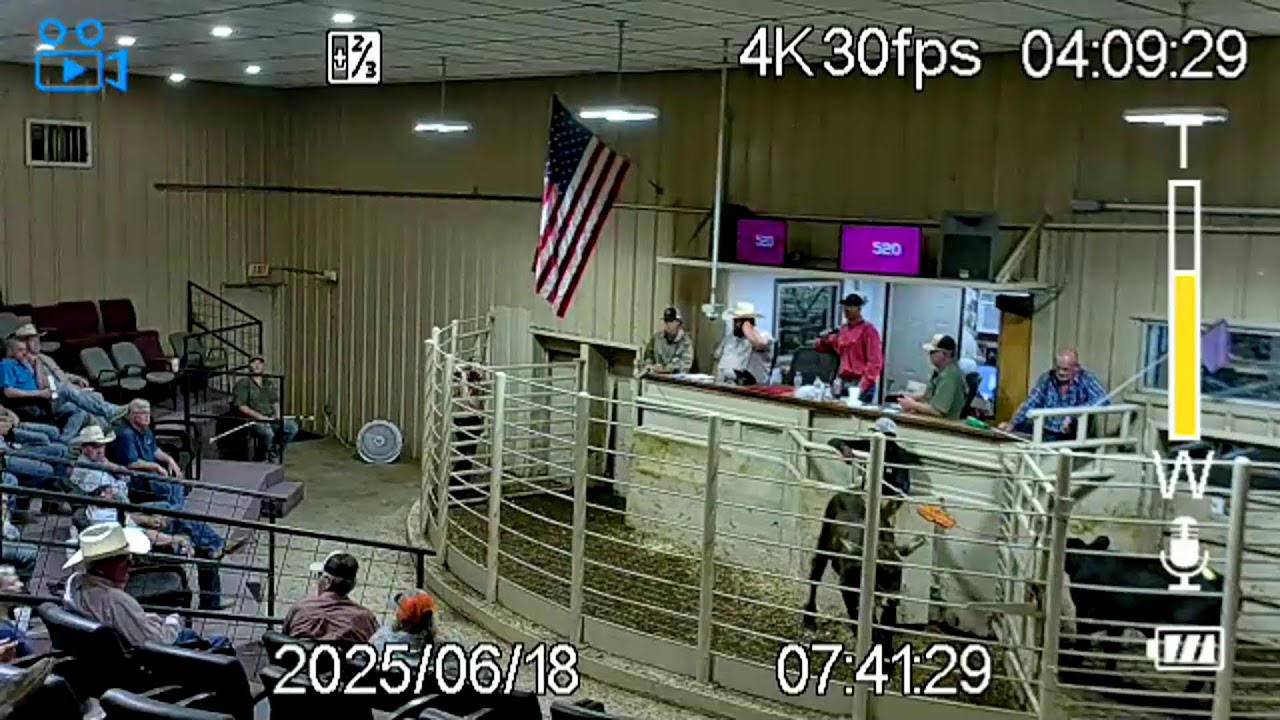 Red River Livestock LLC - YouTube