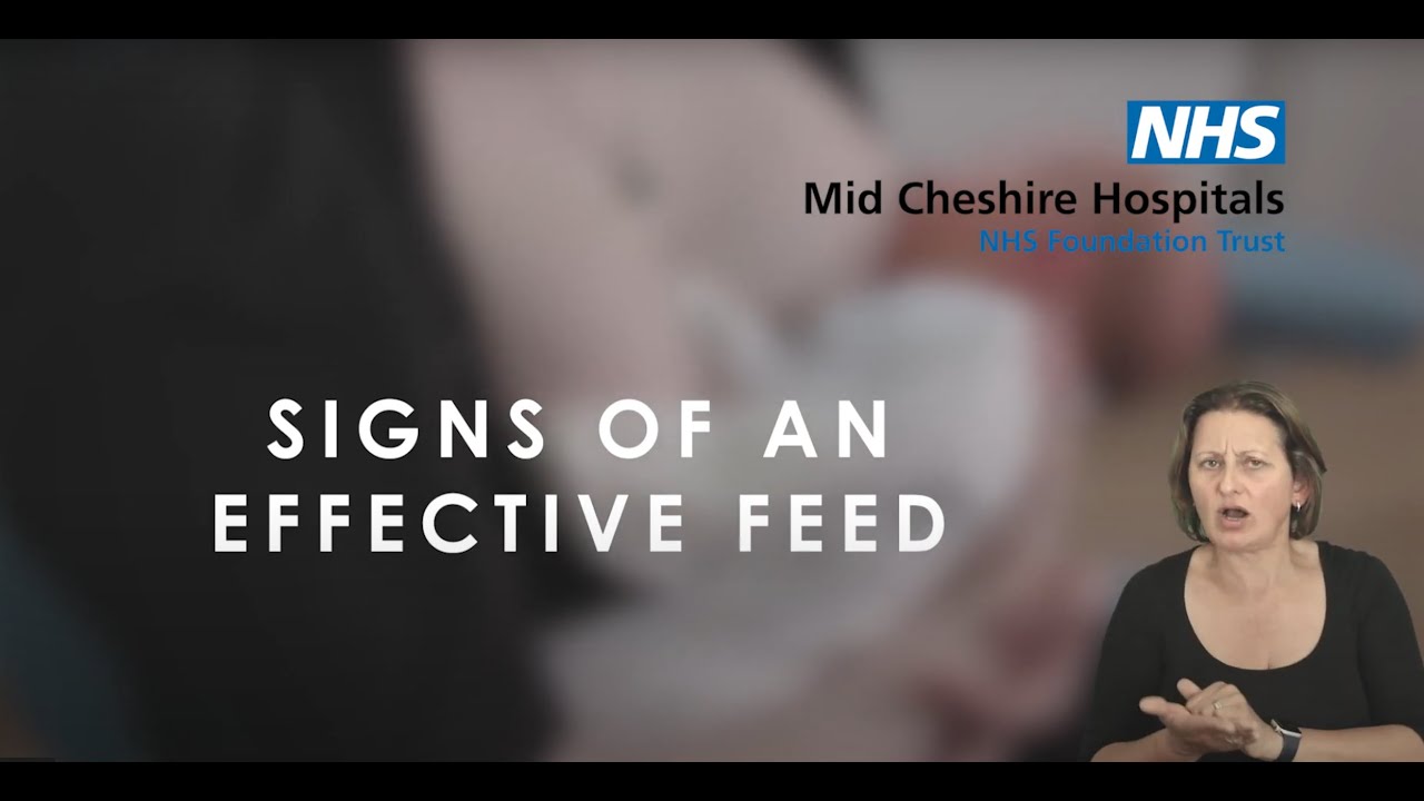 Signs of an effective feed | British Sign Language - YouTube