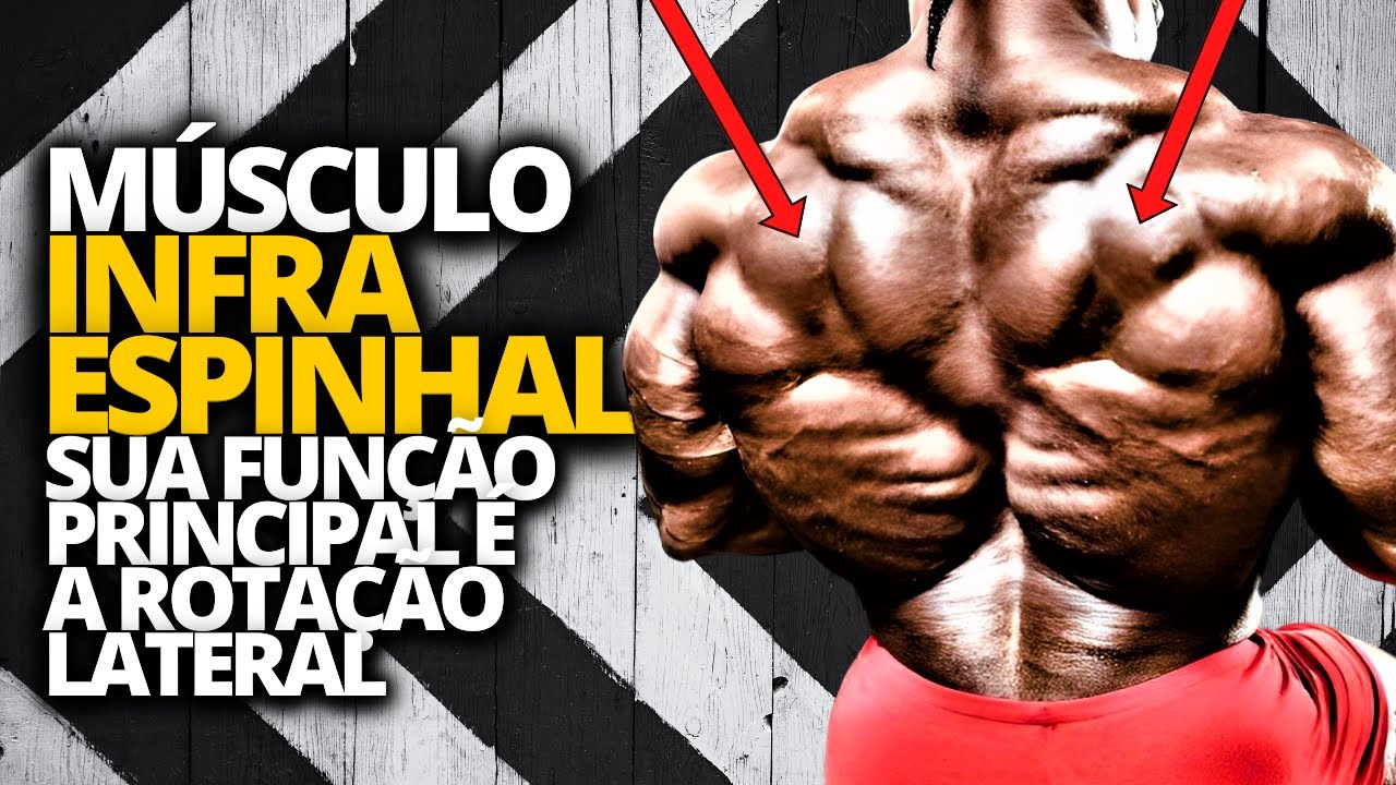 MÚSCULO INFRAESPINHAL, ELE AJUDA A RODAR O OSSO DO BRAÇO - YouTube