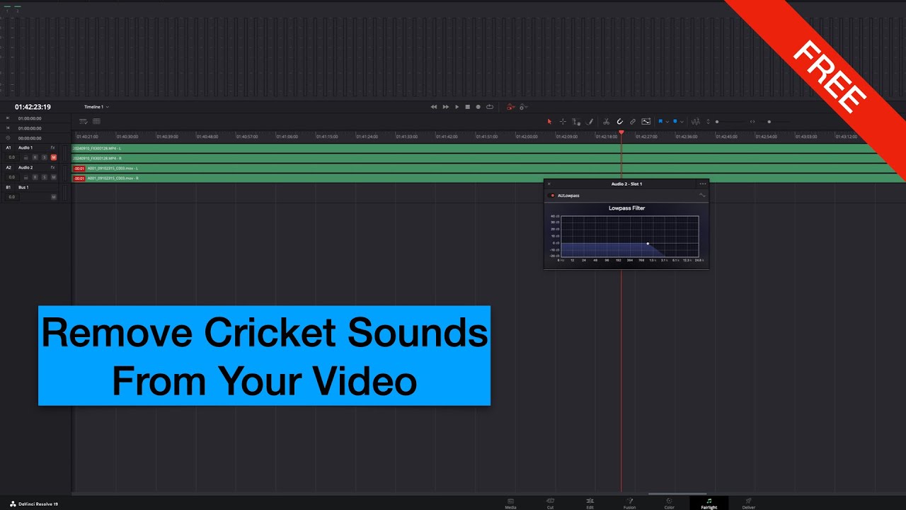 Remove Cricket Sounds From Your Audio For Free - YouTube