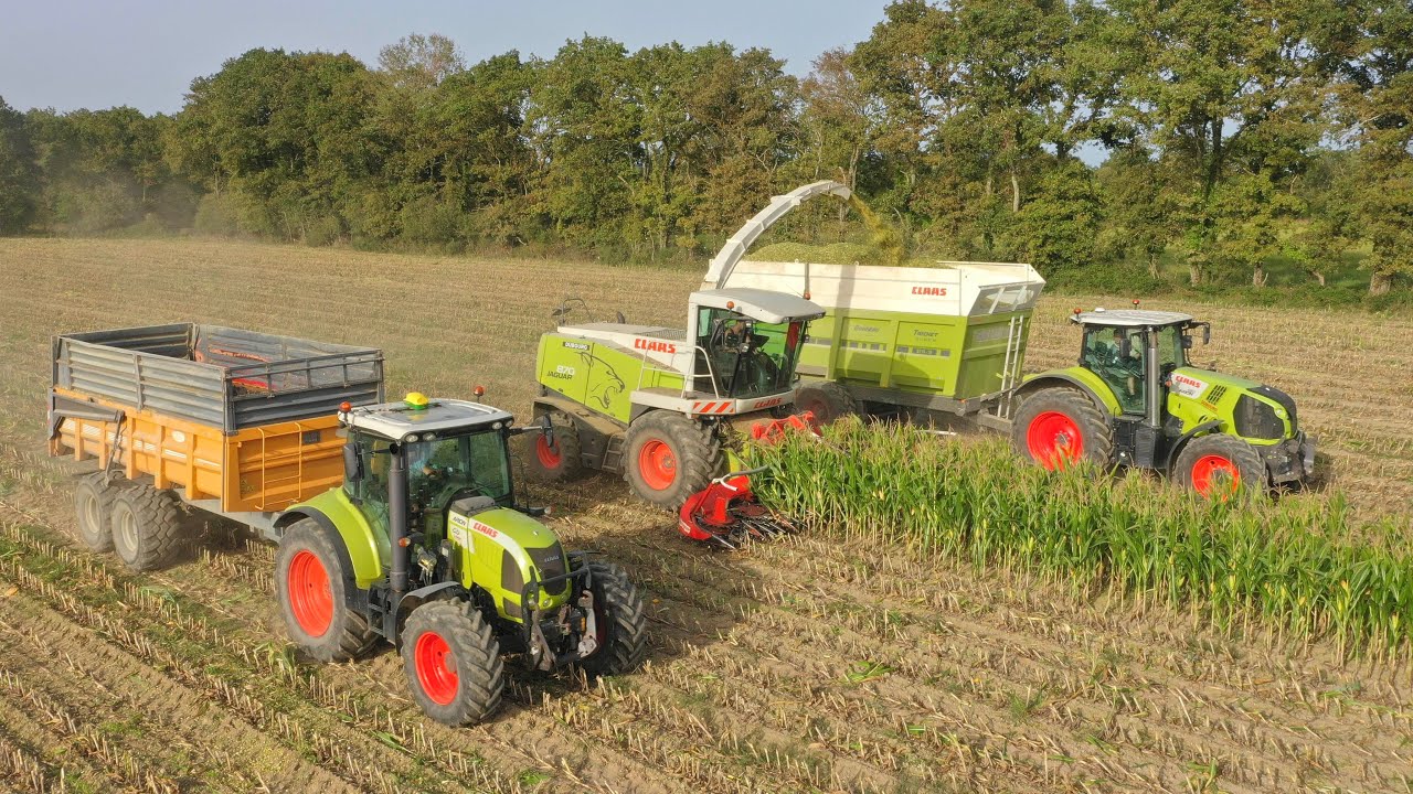 Ensilage de Maïs 🌽 dans une exploitation 100 % CLAAS 💨 / SODIMAC XEAL ...