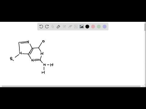 Draw the structure of a G ·U base pair. - YouTube