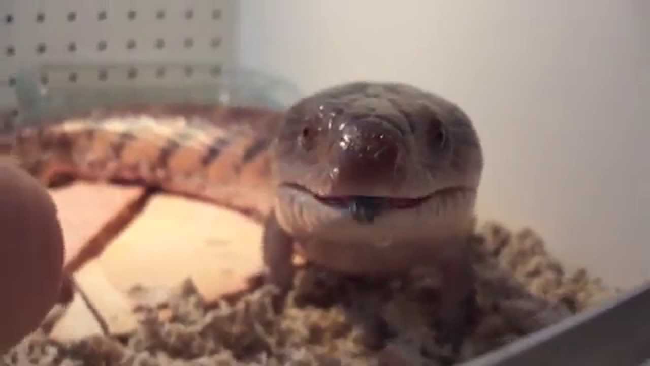 Wel bless the baby bejeesus out of ya - YouTube