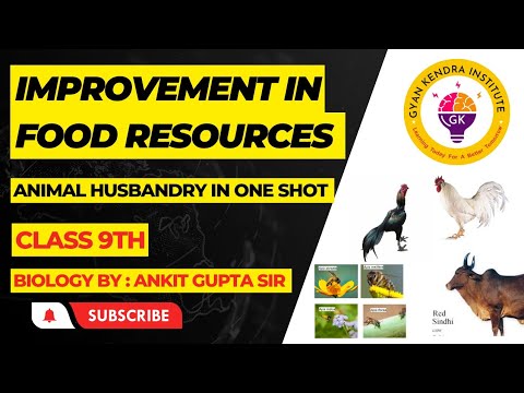 Improvement in food resources class 9th | Animal husbandry in one shot ...