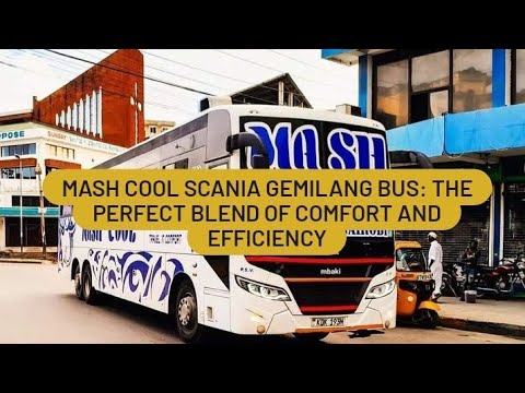 Arrivals and departures: Mash cool and Mash poa buses keep the city ...