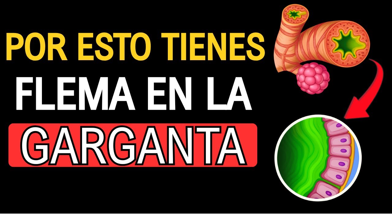 La VERDADERA Causa de la FLEMA PERSISTENTE Elimina el moco en la ...