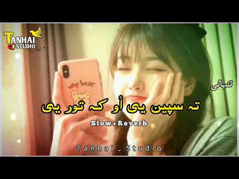 Ta Spen Ye Ao Ka Tor Ye Sam Koko Ye |Poshto Slow+Reverb Song |Haya Noor New Song |