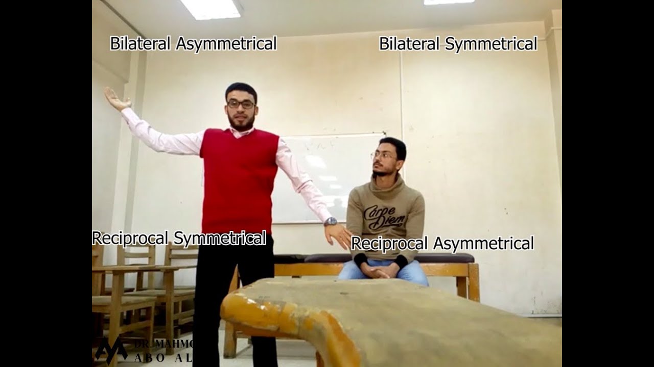 Combined PNF Patterns – Proprioceptive Neuromuscular Facilitation (PNF ...