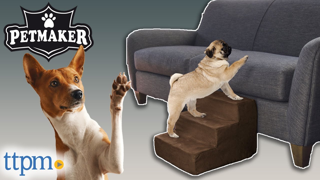 Puppy Reviews the Pet Steps for Small Dogs from Petmaker! - YouTube