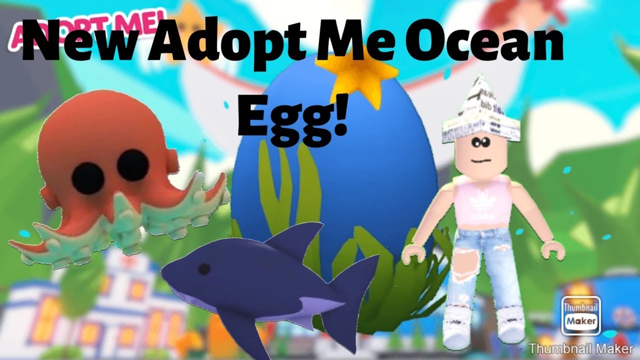 All new Ocean Egg Pets and their rarities! + New Ocean Egg info!! - YouTube