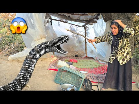Zahra and the poisonous snake: A battle for survival in nomadic areas