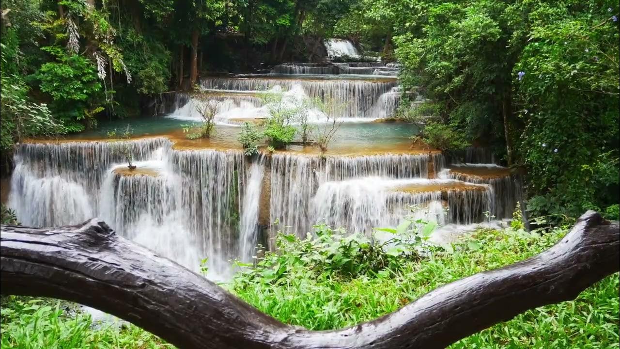 Soothing & Relaxing Forest Waterfall, Waterfall Sound, White Noise for Sleep, Study & Meditation ...