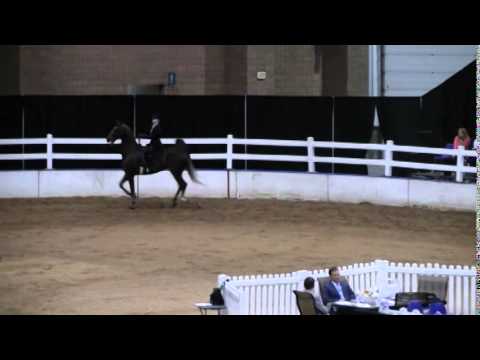 Lora Becker Young Riders 2015 - YouTube