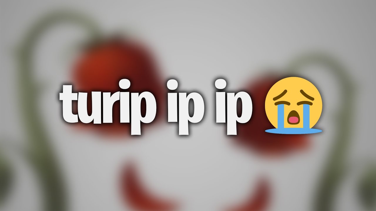 turip ip ip 😭🌹 - YouTube