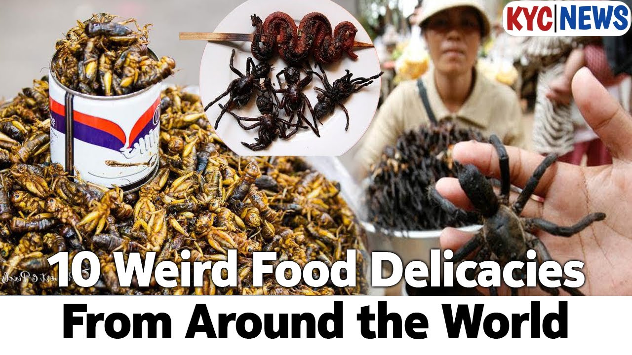 10 Weird Food Delicacies From Around The World - YouTube