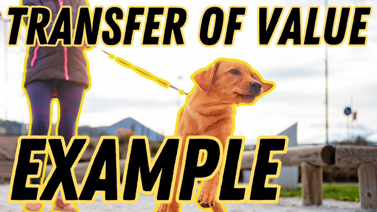 Transfer of Value in Dog Training Example (Susan Garrett's Take on ...
