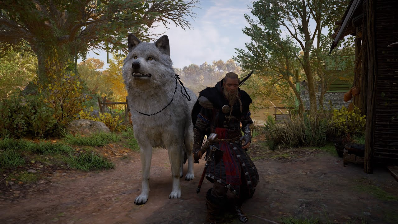 Assassin's Creed Valhalla Wolf Mount free roaming - YouTube