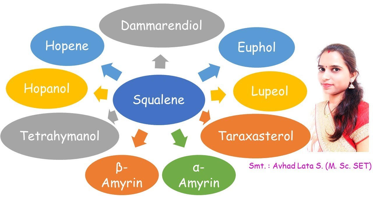 Lecture 46 Terpenoid (Part- 14) | Dammarenediol | Euphol | Lupeol ...