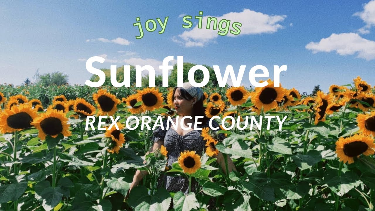 Sunflower - Rex Orange County (Cover) - YouTube