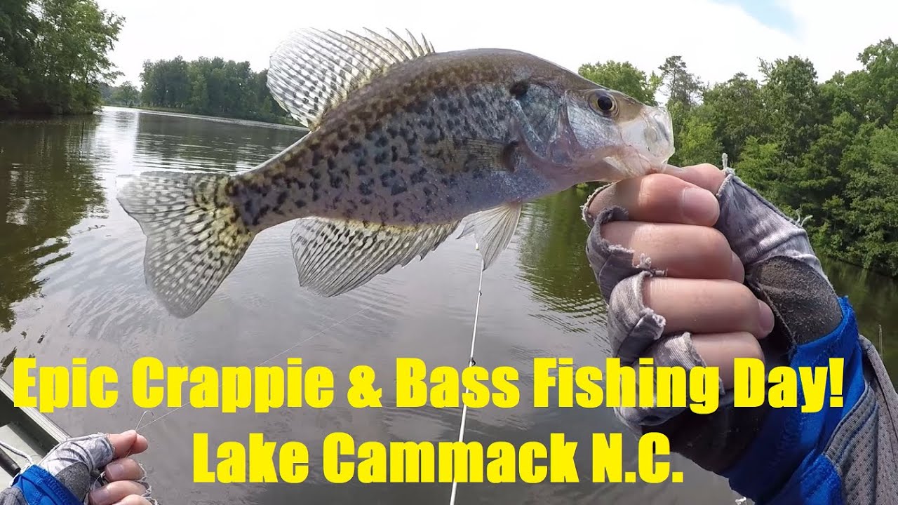 Epic Day of Crappie & Bass Fishing Lake Cammack NC. - YouTube