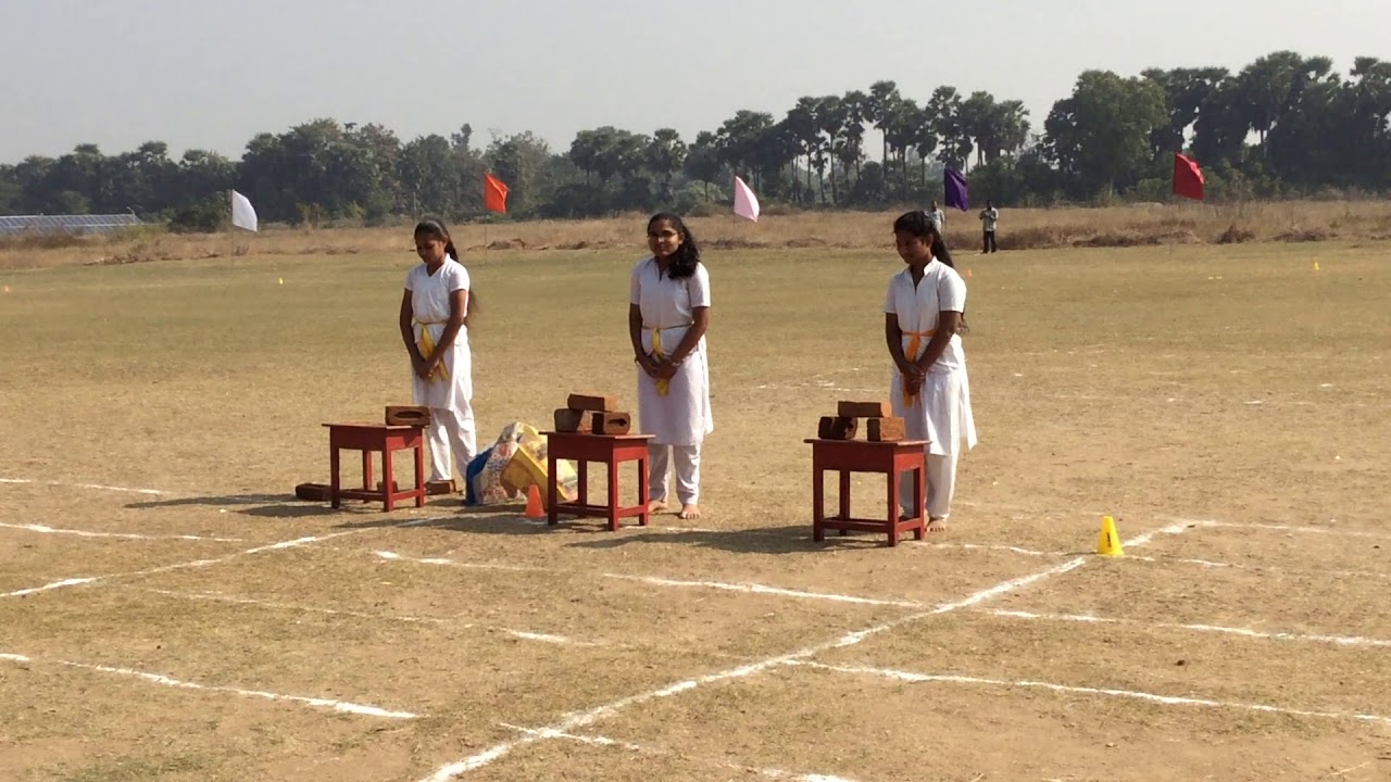 G.M.R V D.A.V Public School Rajam Annual Sports Meet 2018-19 Karate 01 ...