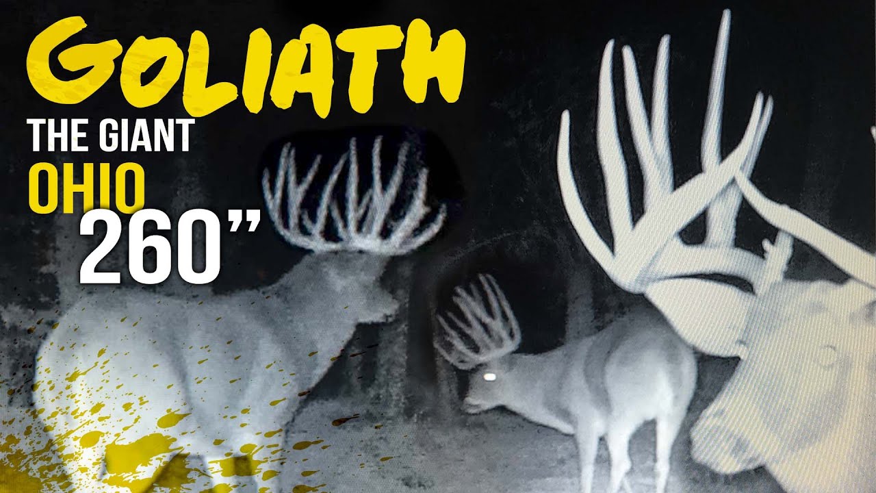 260" Ohio Buck (The story of Goliath) - YouTube