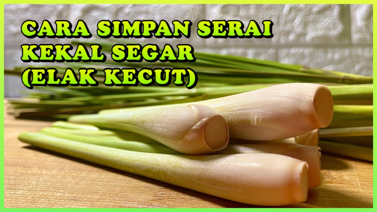 cara SIMPAN SERAI KEKAL SEGAR ELAK KECUT tahan lama | aimifoodgram ...