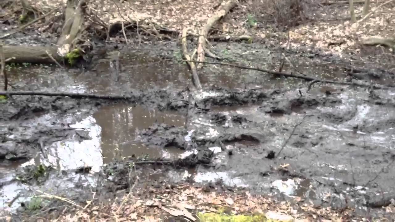 Honda Foreman 500 mudding - YouTube