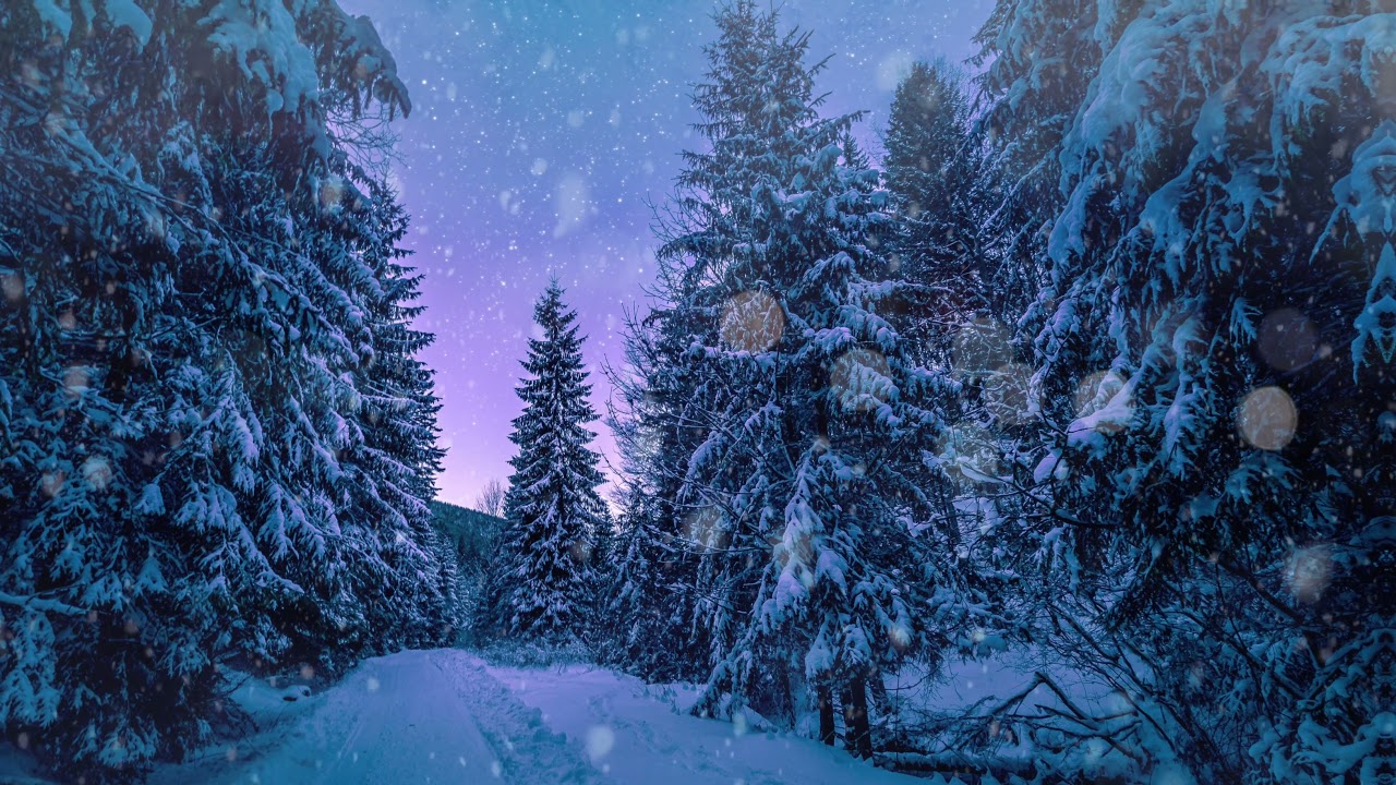 Winter Landscape Snow Ambience - YouTube