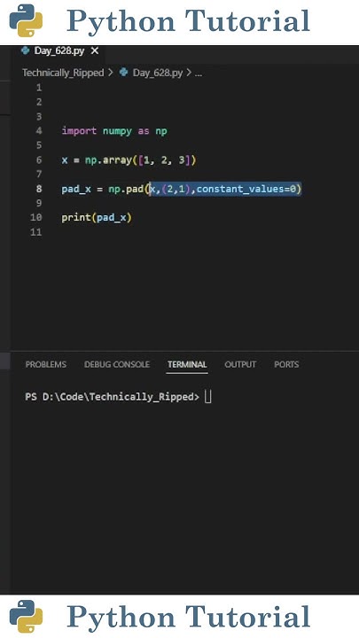 Padding a NumPy Arrays | Python Tutorial - YouTube
