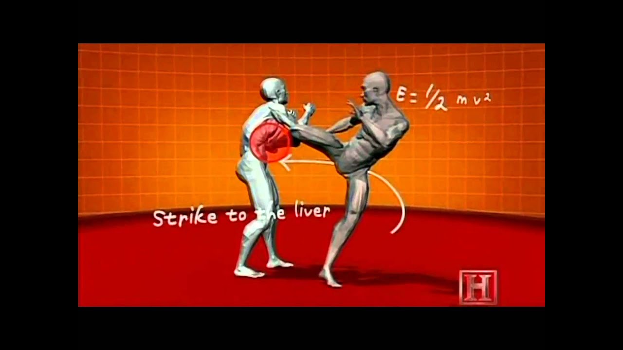 The Human Weapon Savate Street Fighting Pointe Au Foie Directe Visage ...