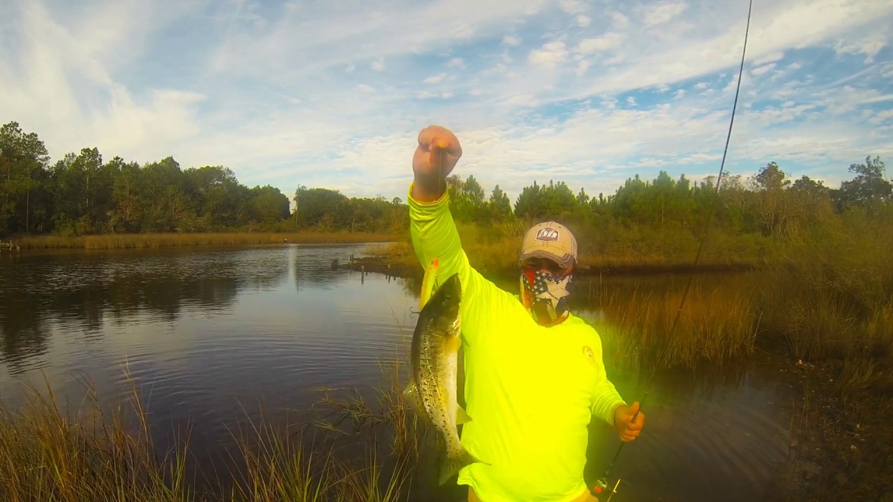 Rapala Skitter V - YouTube