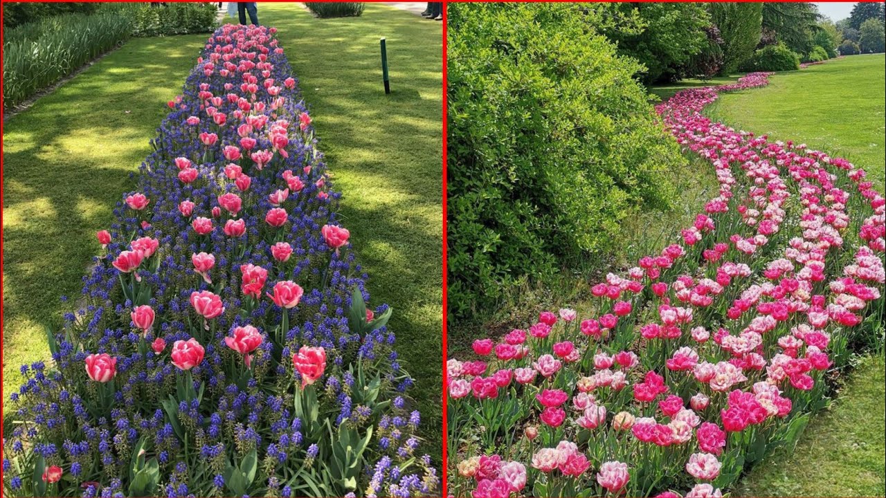 Creative flower gardending unique flower garden design - YouTube