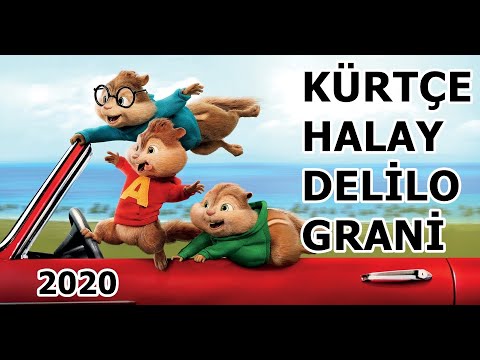Alvin ve Sincaplar Kürtçe Şarkıları Halay Cane Grani Ağır Delilo Gimme Evin Müzik Araba Snap
