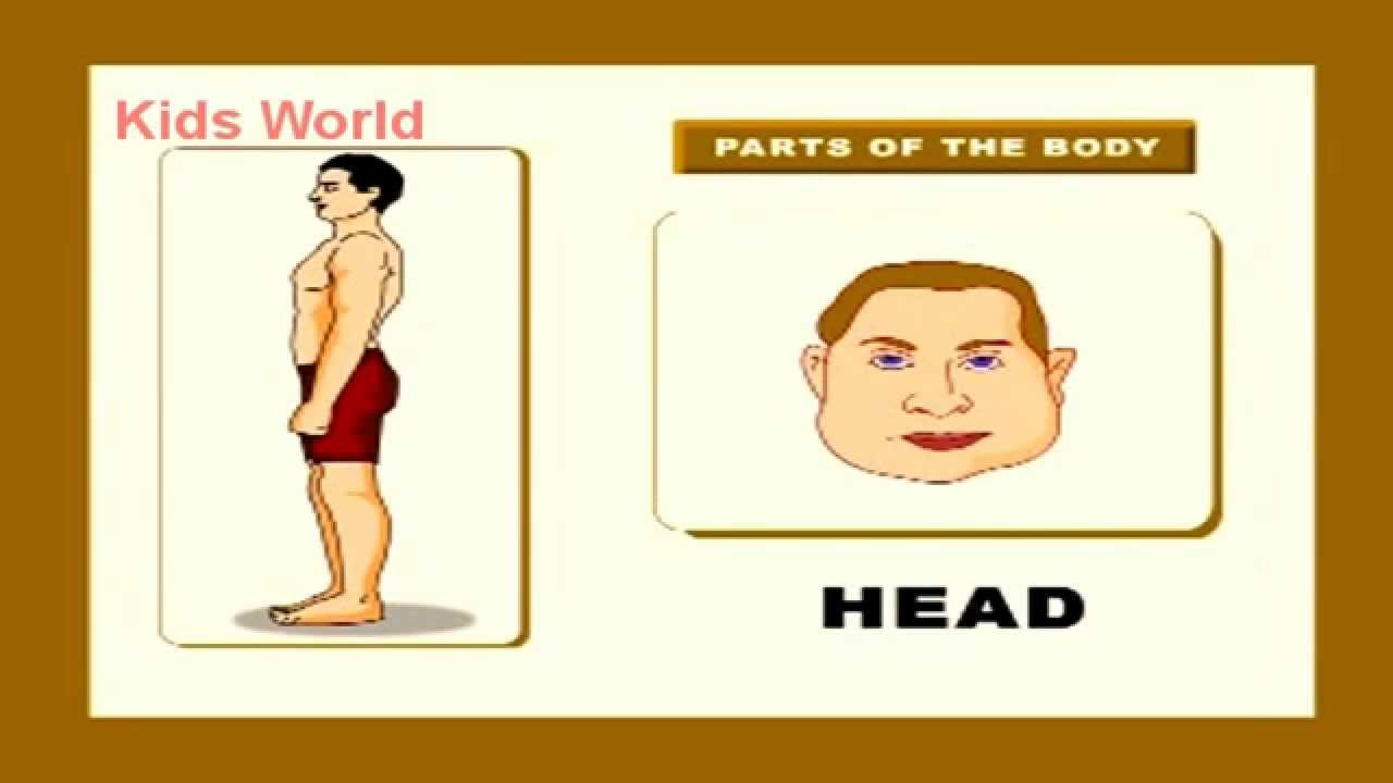 Part of The Body for kids learning | Animated Video | Cartoon | English ...