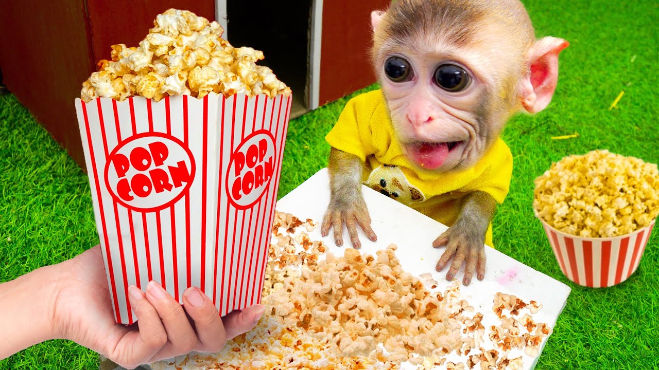 Farmer Monkey baby Bi Bon harvests corn and goes home to make popcorn ...