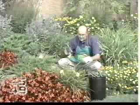 1996 WNEO/WEAO Channels 45/49 Station ID Bug - YouTube