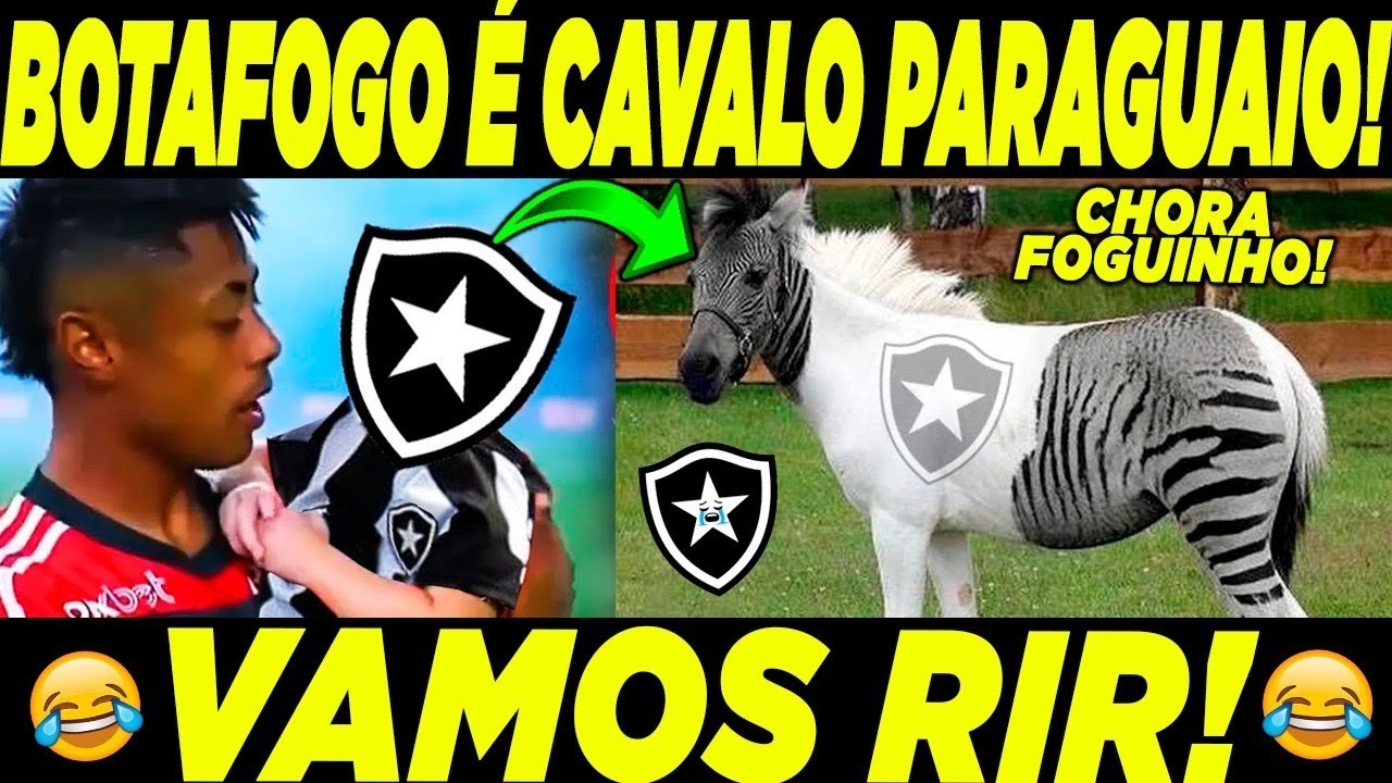 VAMOS RIR DO BOTAFOGO CAVALO PARAGUAIO / A VACA CAIU DO TELHADO - YouTube