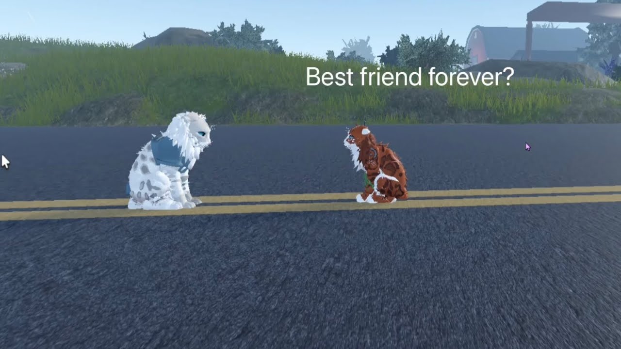 Best friends to rivals (meme) (WCUE) - YouTube