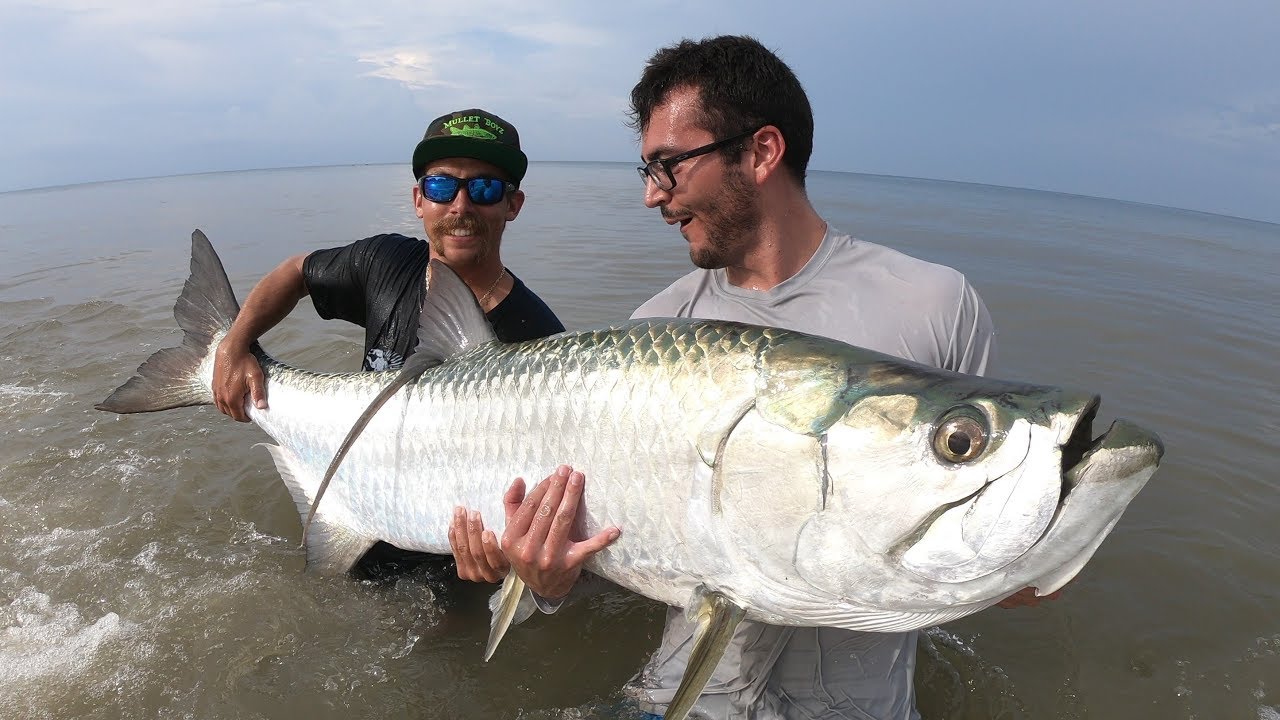Giant Fish EVERYWHERE at Public Beach!!!│Chasing Giants Part 1 - YouTube