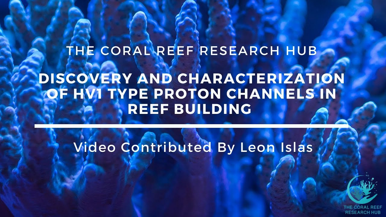 Discovery & Characterization of Proton Channels in Reef Building Corals ...