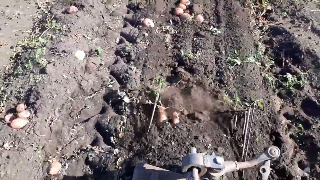 самодельная картофелекопалка вибролапа на японский минитрактор - YouTube