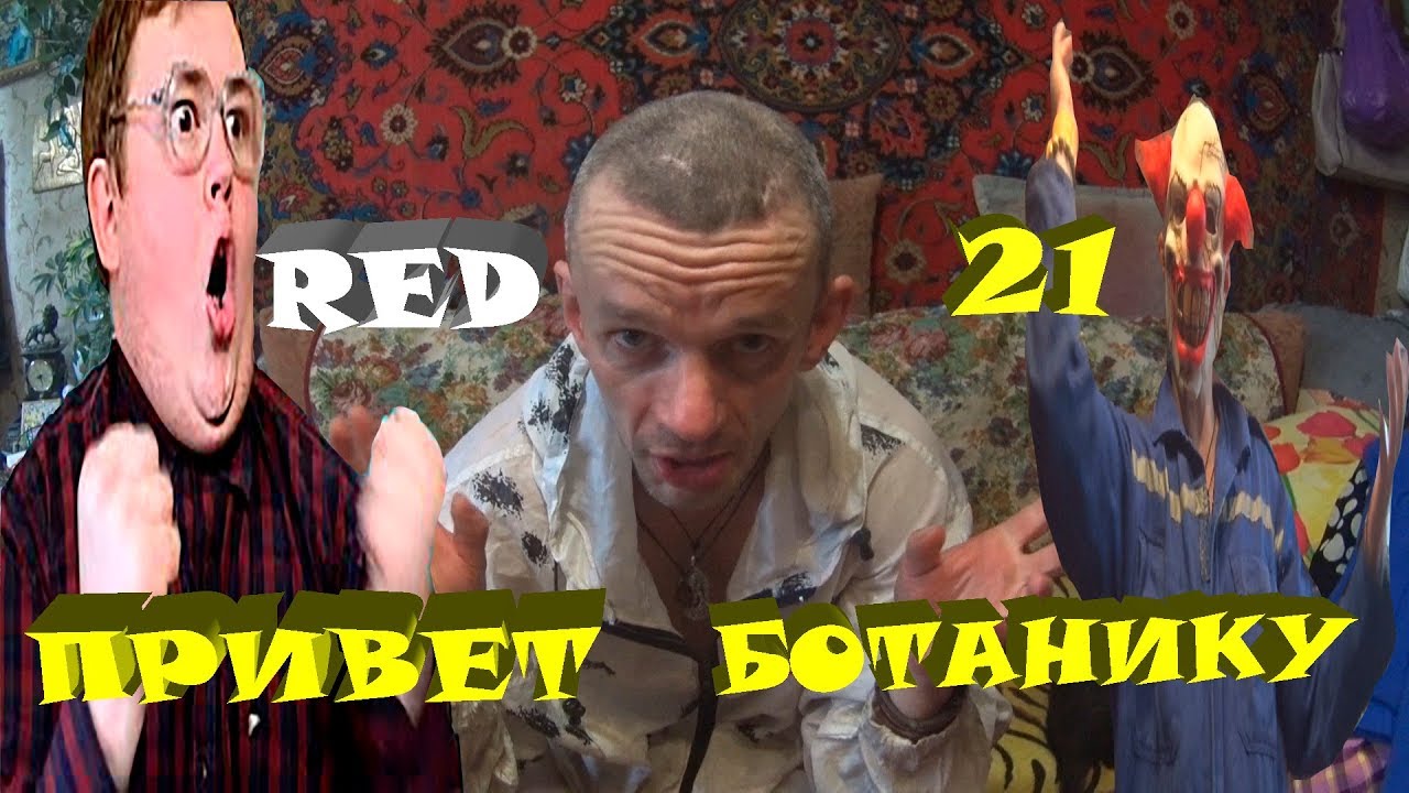 red21( привет ботанику) - YouTube