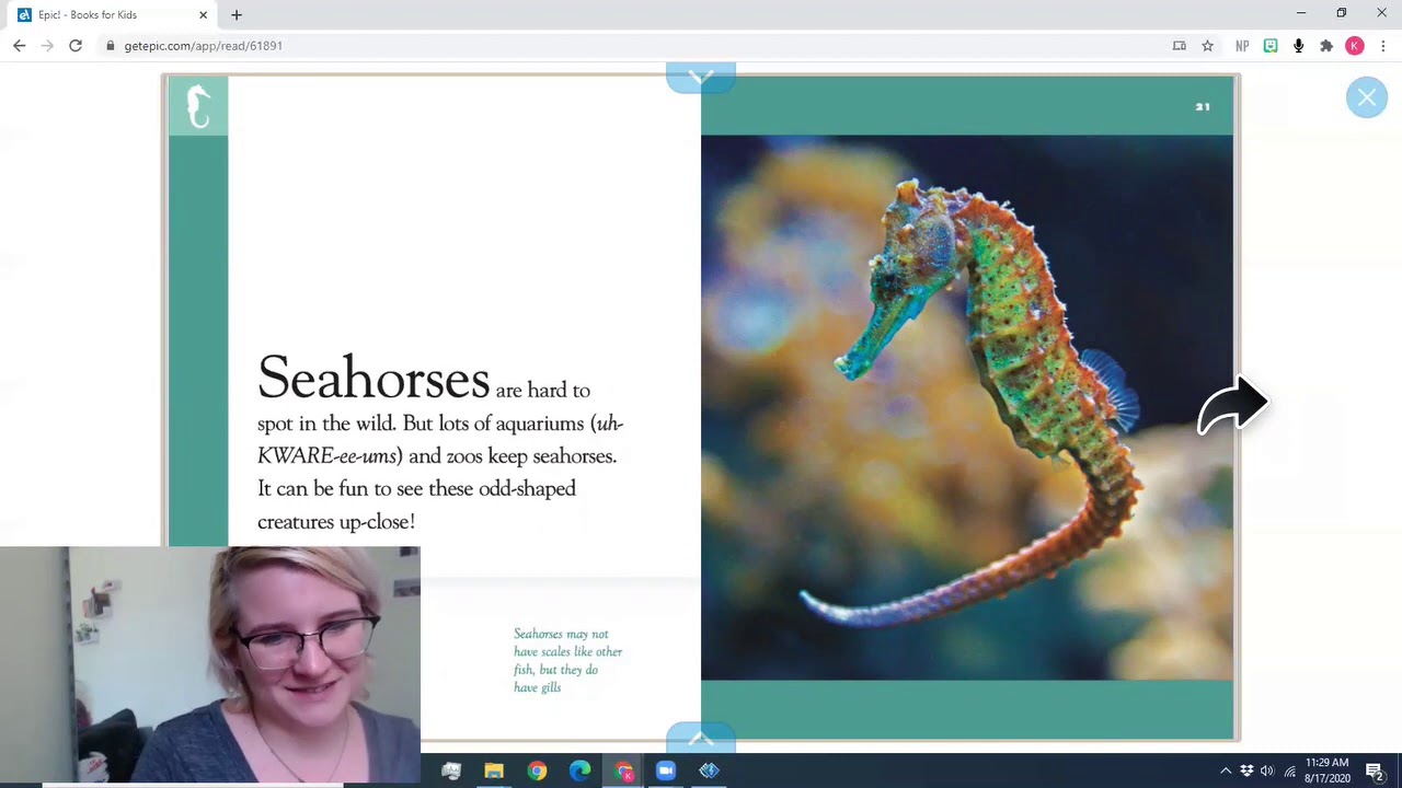 EPIC Read Aloud: Seahorses - YouTube