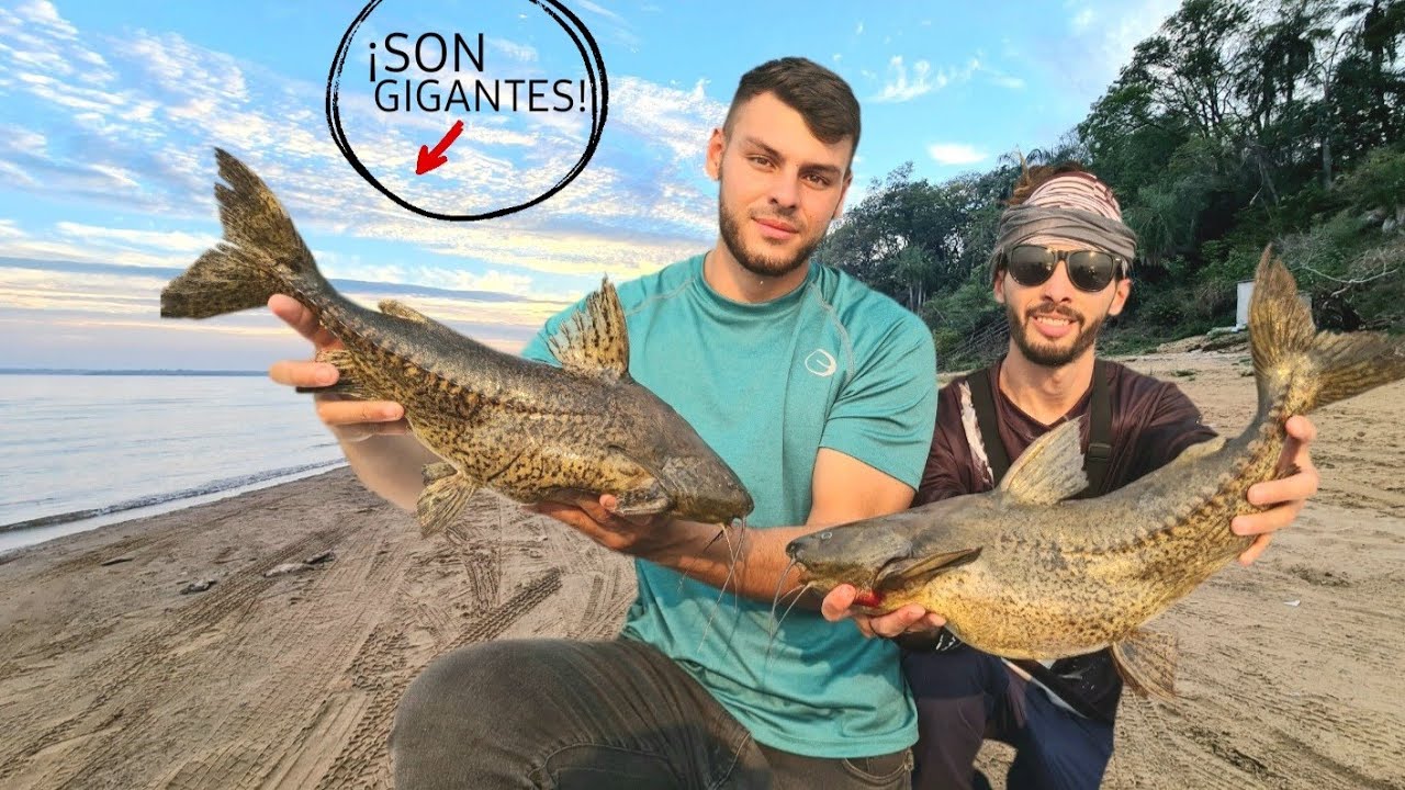 SURUBI GIGANTE ME PARTE EL ANZUELO | Pesca | Pousadas Puerto Paraiso ...