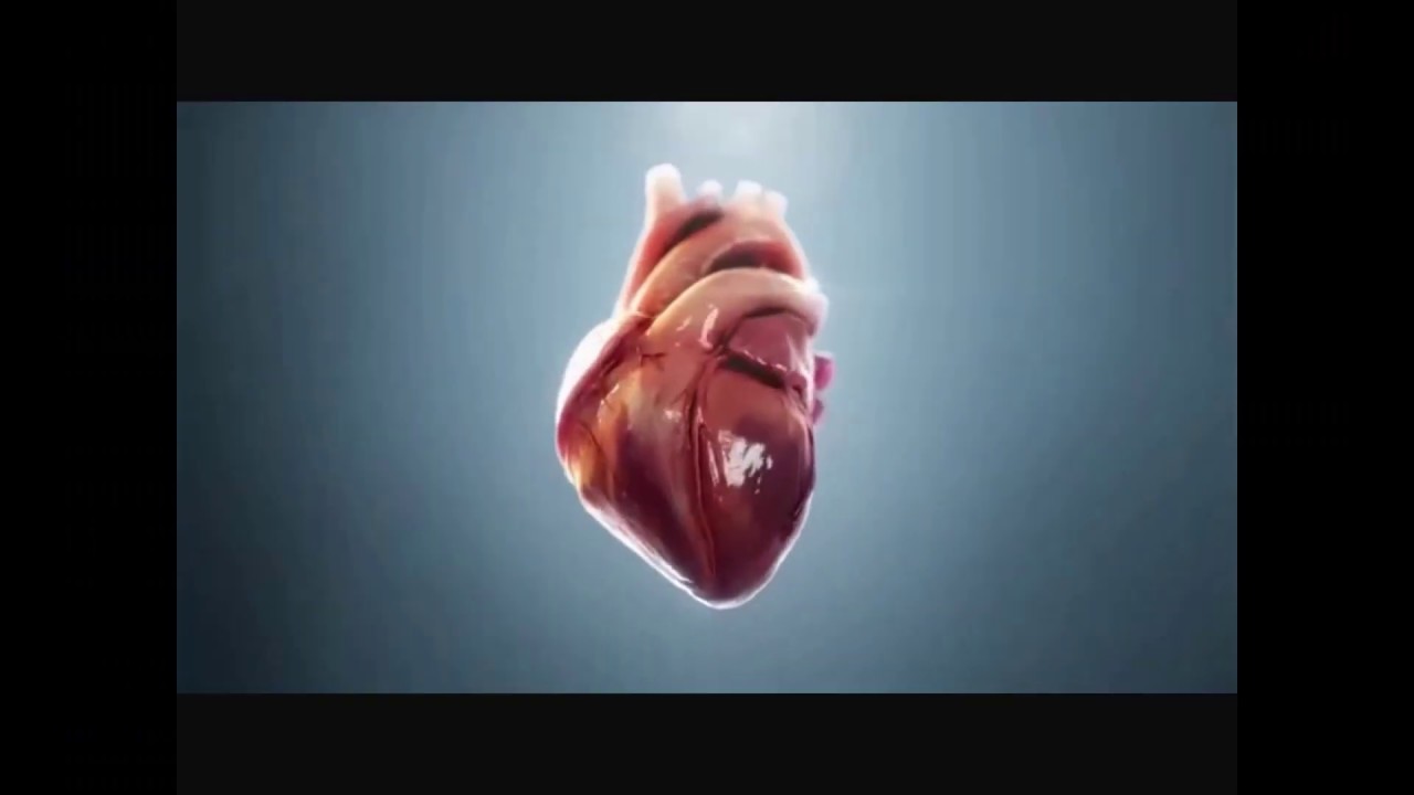 Flail And PMVP With Chord Rupture - YouTube